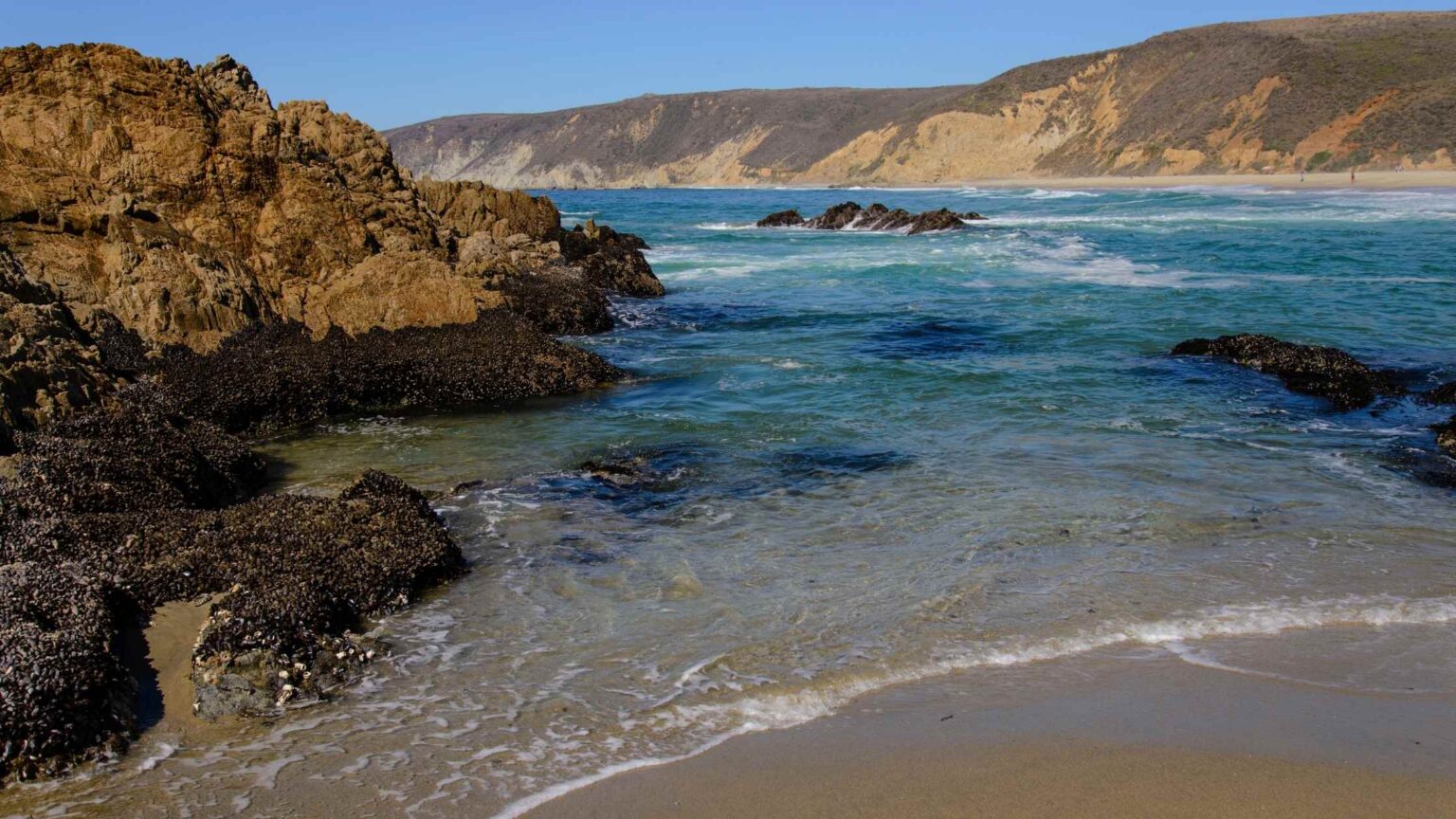 25 Best Hikes In Point Reyes In California You Should Plan