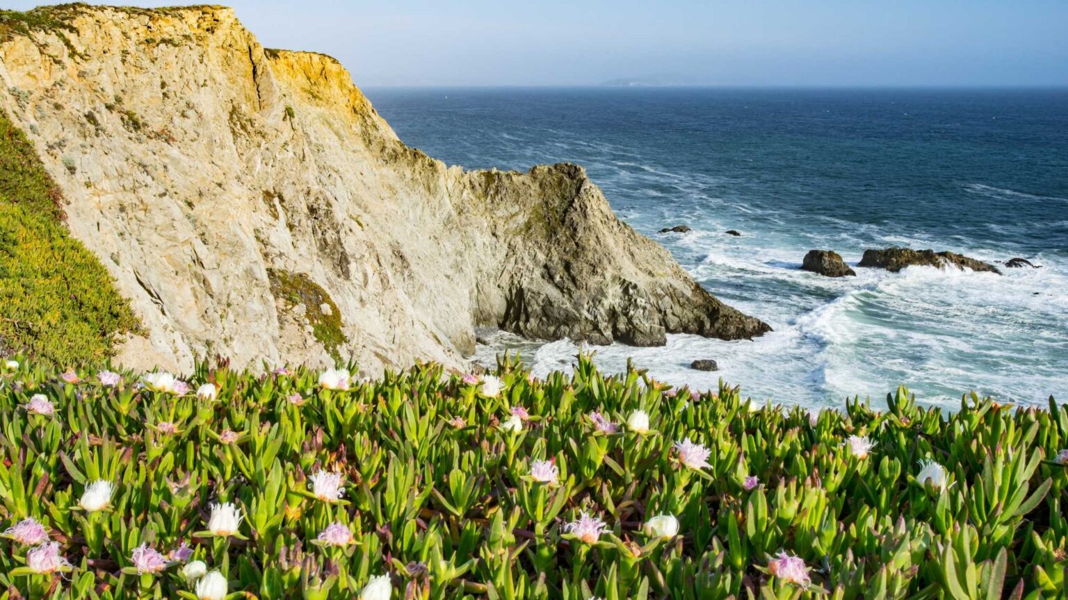 25 Best Hikes In Point Reyes In California You Should Plan