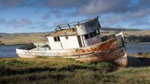35 Amazing Things To Do In Point Reyes California