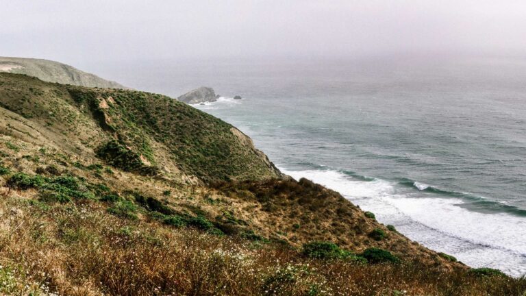 35 Amazing Things To Do In Point Reyes California