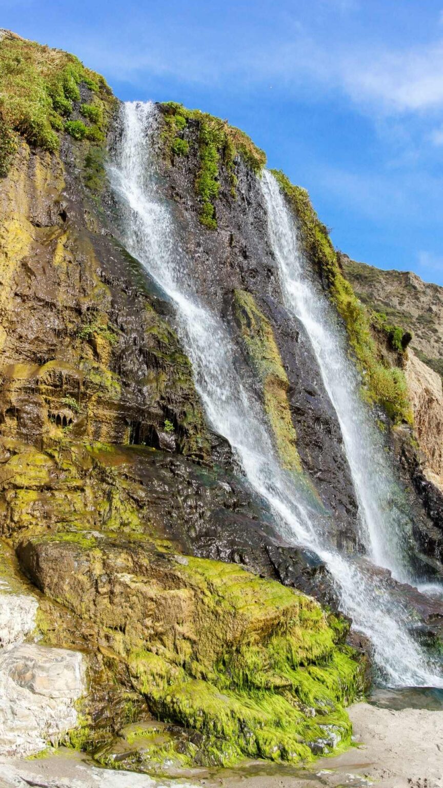 35 Amazing Things To Do In Point Reyes California