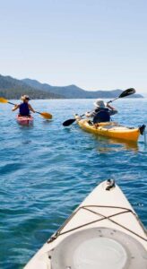 35 Amazing Things To Do In Point Reyes California