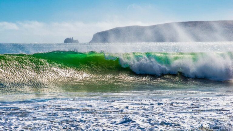 35 Amazing Things To Do In Point Reyes California