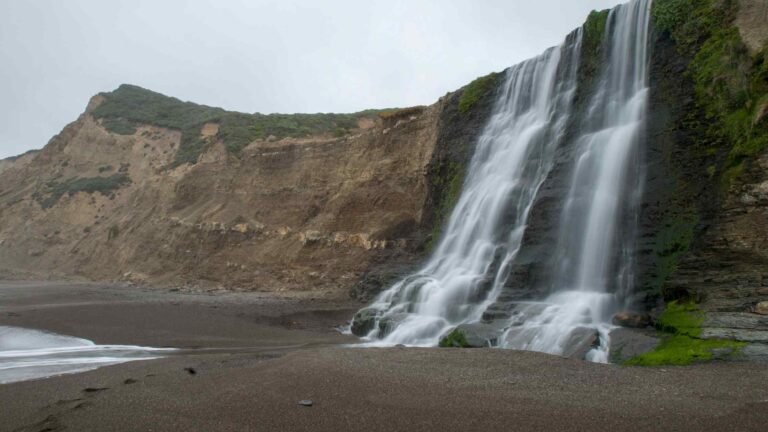 35 Amazing Things To Do In Point Reyes California