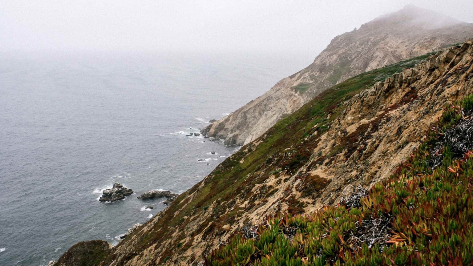 25 Best Hikes In Point Reyes In California You Should Plan