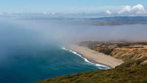 35 Amazing Things To Do In Point Reyes California