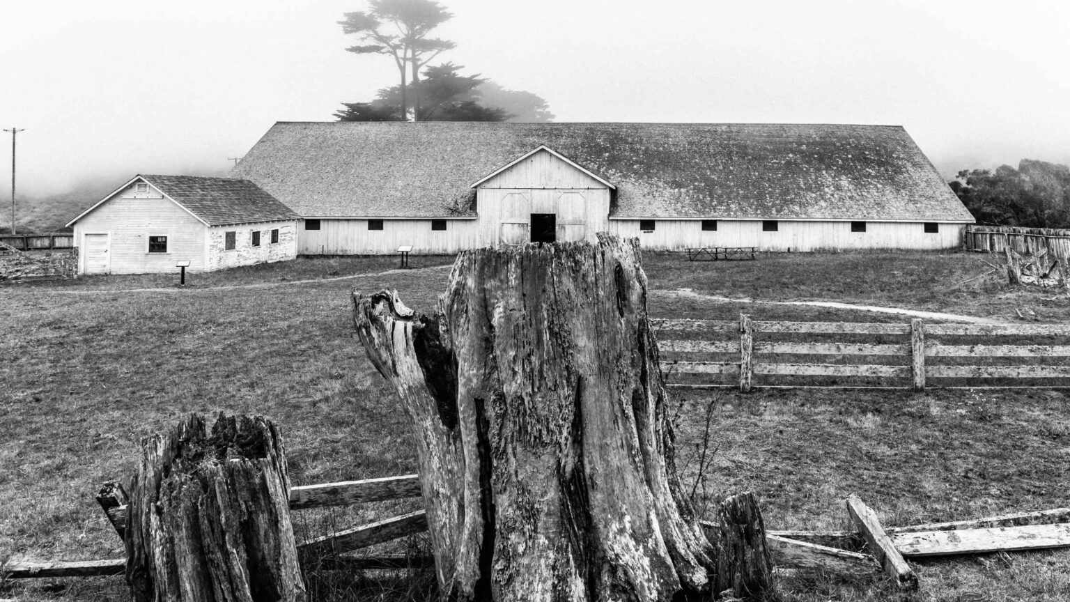 35 Amazing Things To Do In Point Reyes California