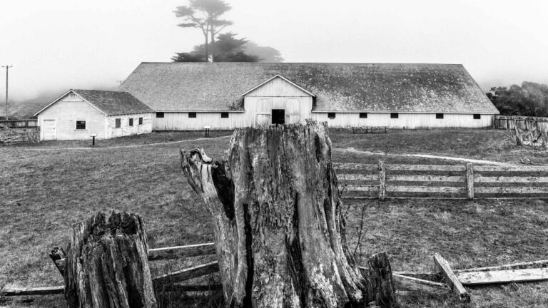 35 Amazing Things To Do In Point Reyes California