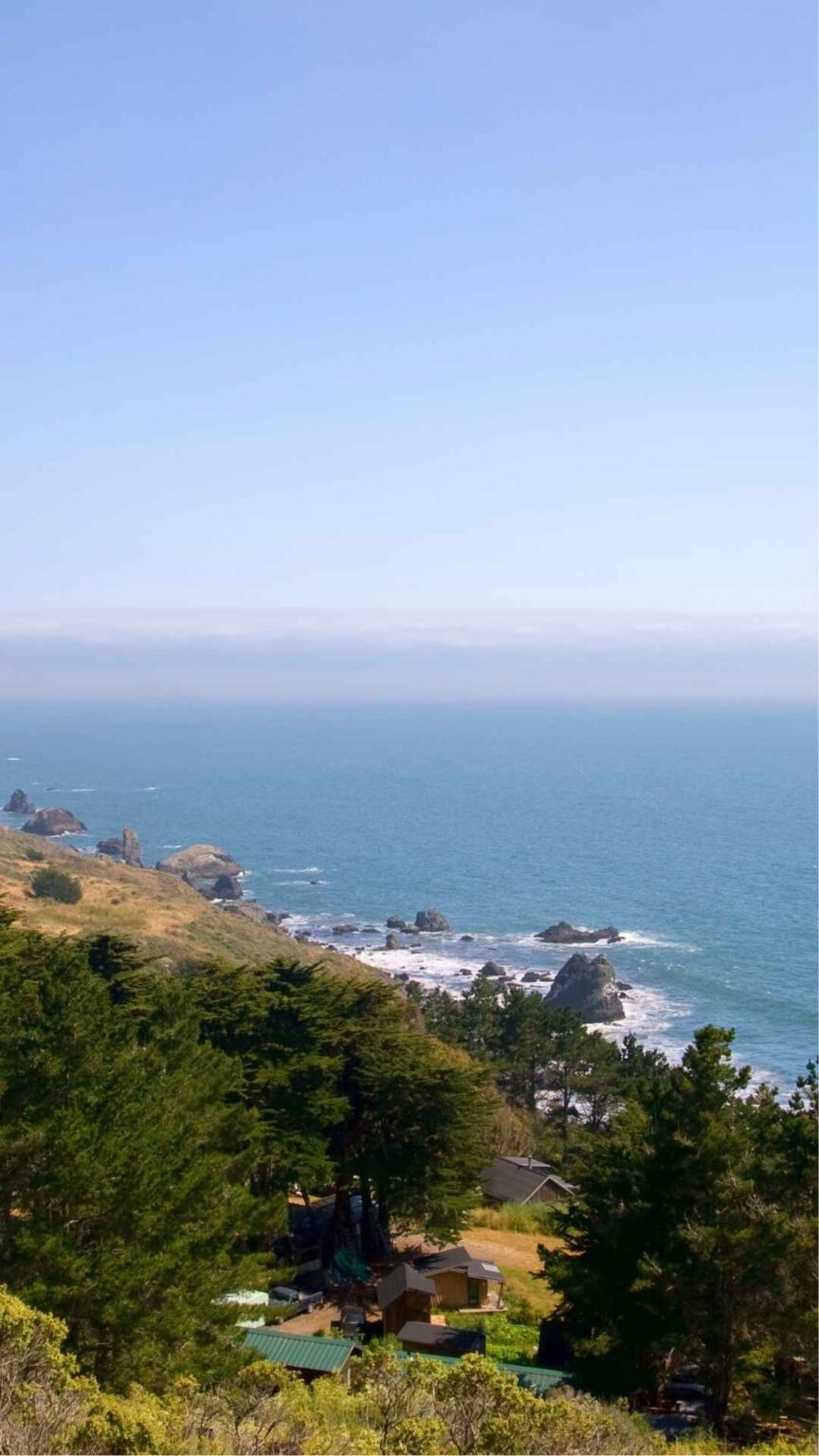 35 Amazing Things To Do In Point Reyes California