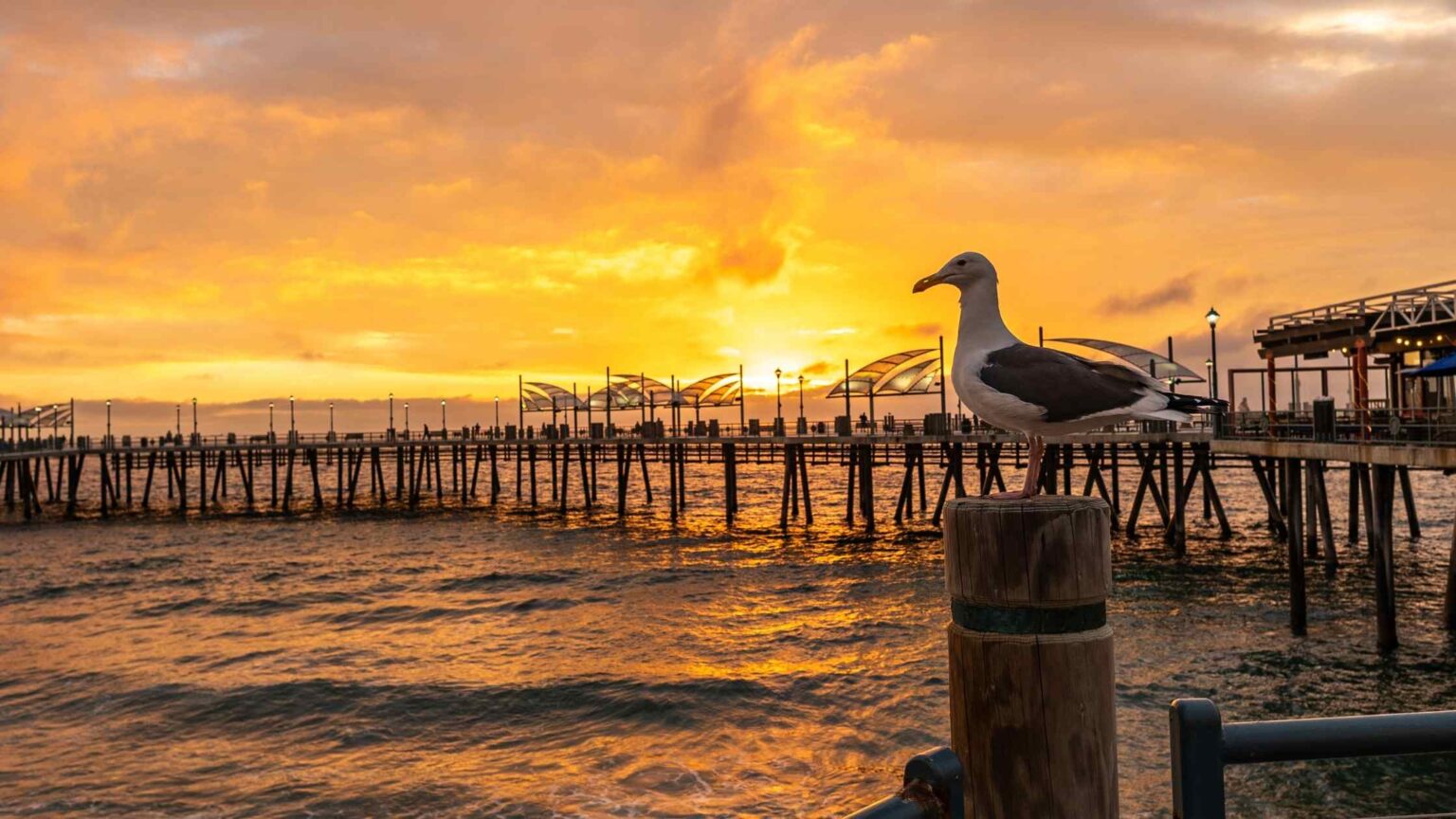 35 Best Things To Do In South Bay Los Angeles