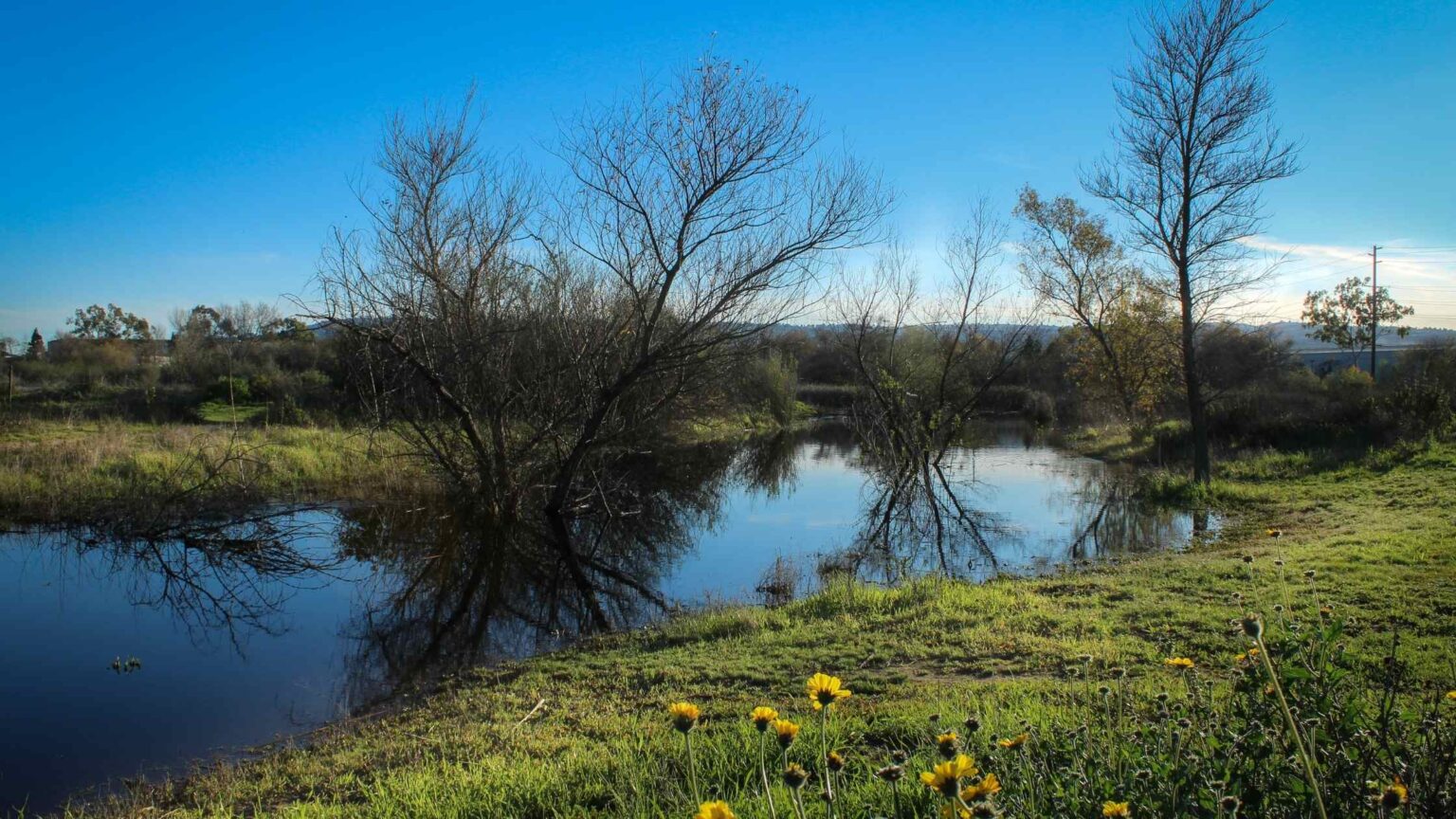 35 Best Things To Do In South Bay Los Angeles