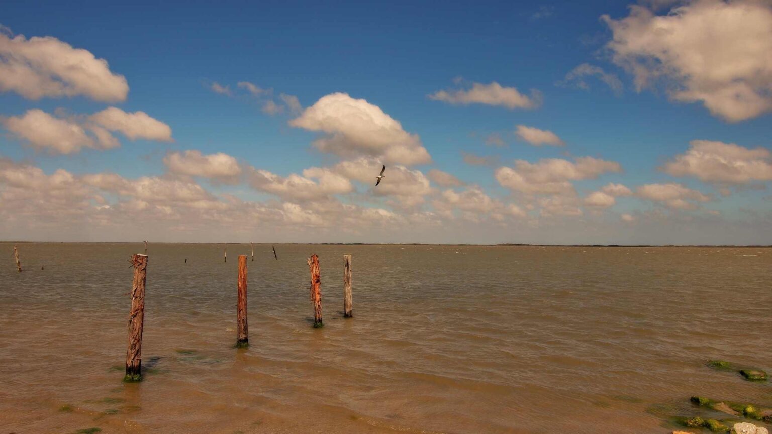 15 Prettiest White Sand Beaches In Texas For A Beach Holiday