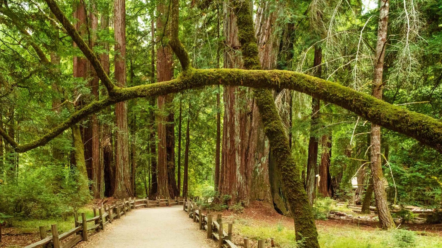 25 Best Hikes In Santa Cruz For Nature Lovers And Hikers