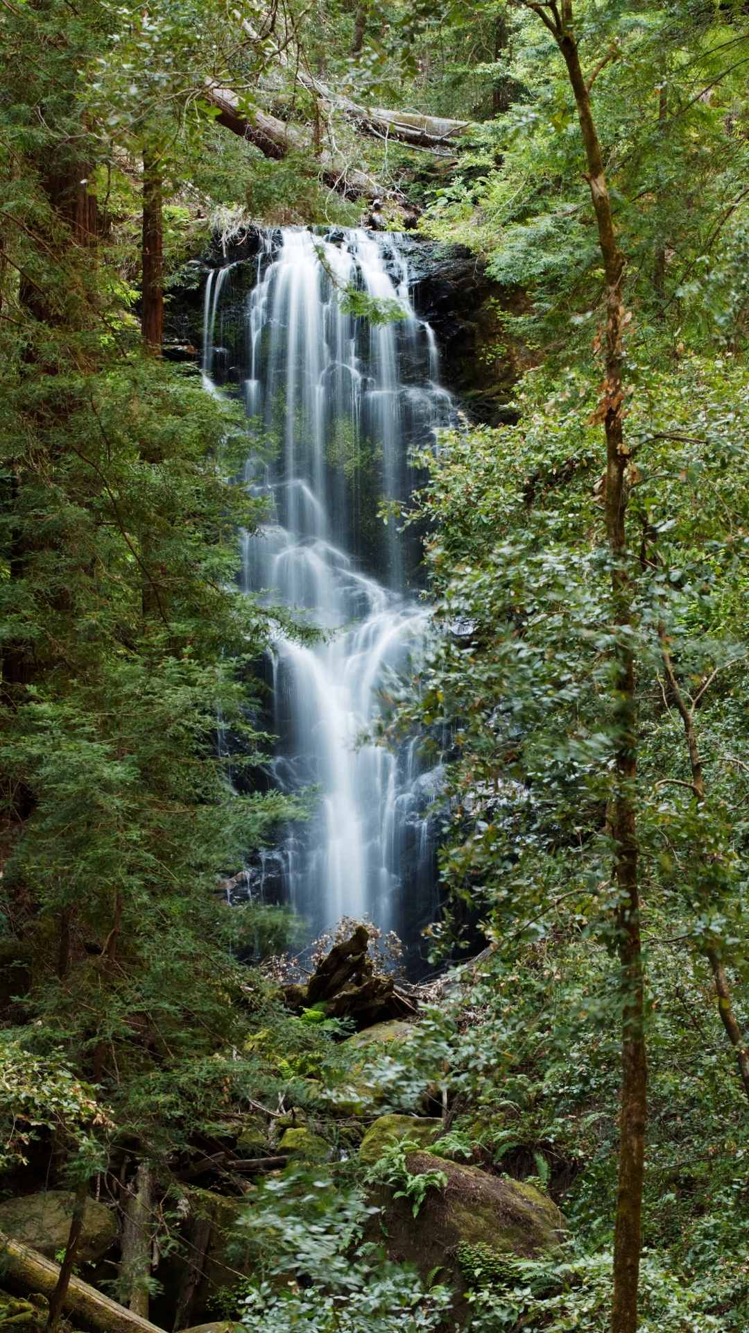 25 Best Hikes In Santa Cruz For Nature Lovers And Hikers