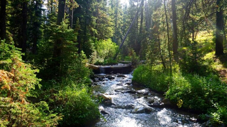 25 Best Hikes In Santa Cruz For Nature Lovers And Hikers