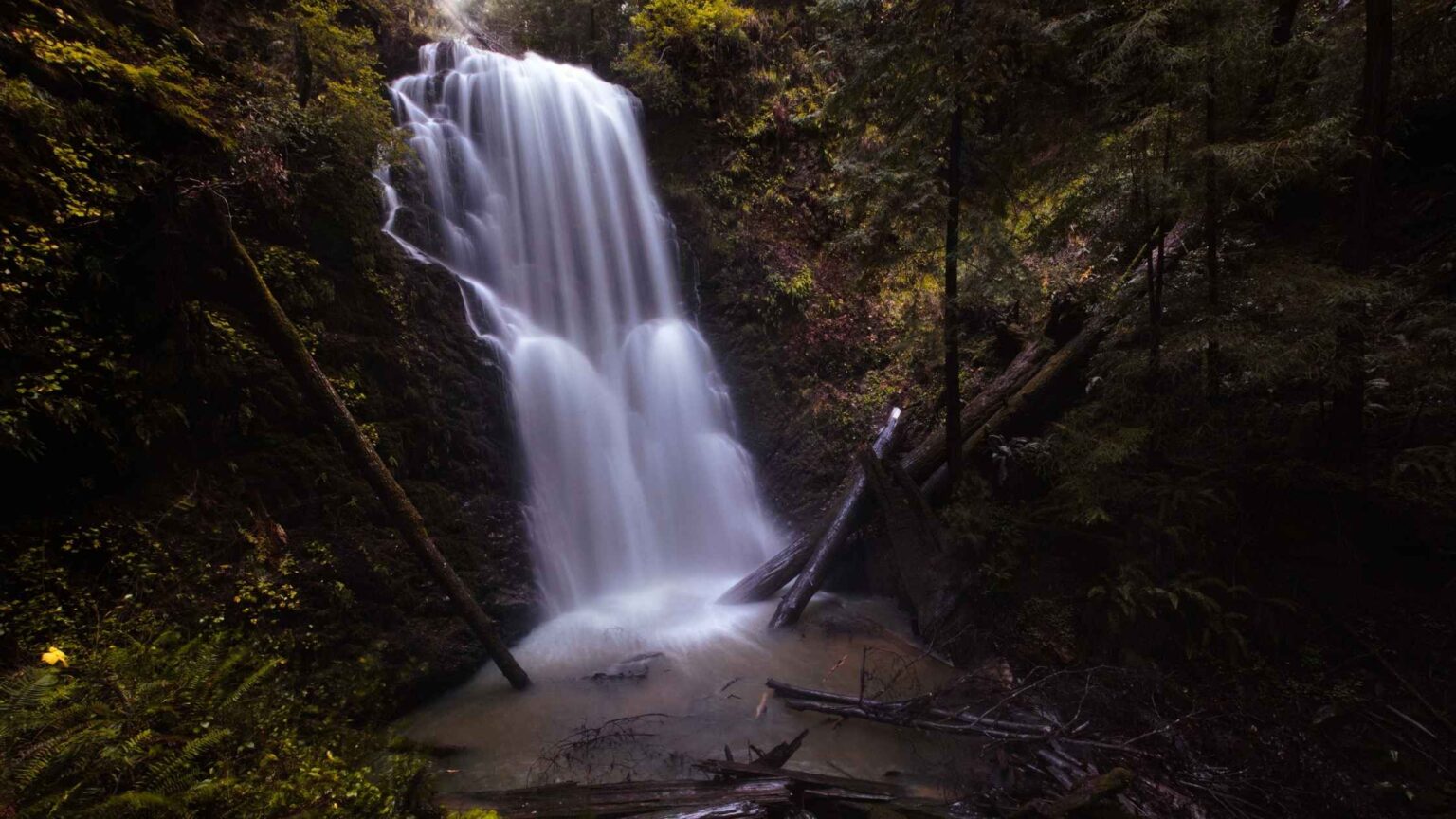25 Best Hikes In Santa Cruz For Nature Lovers And Hikers