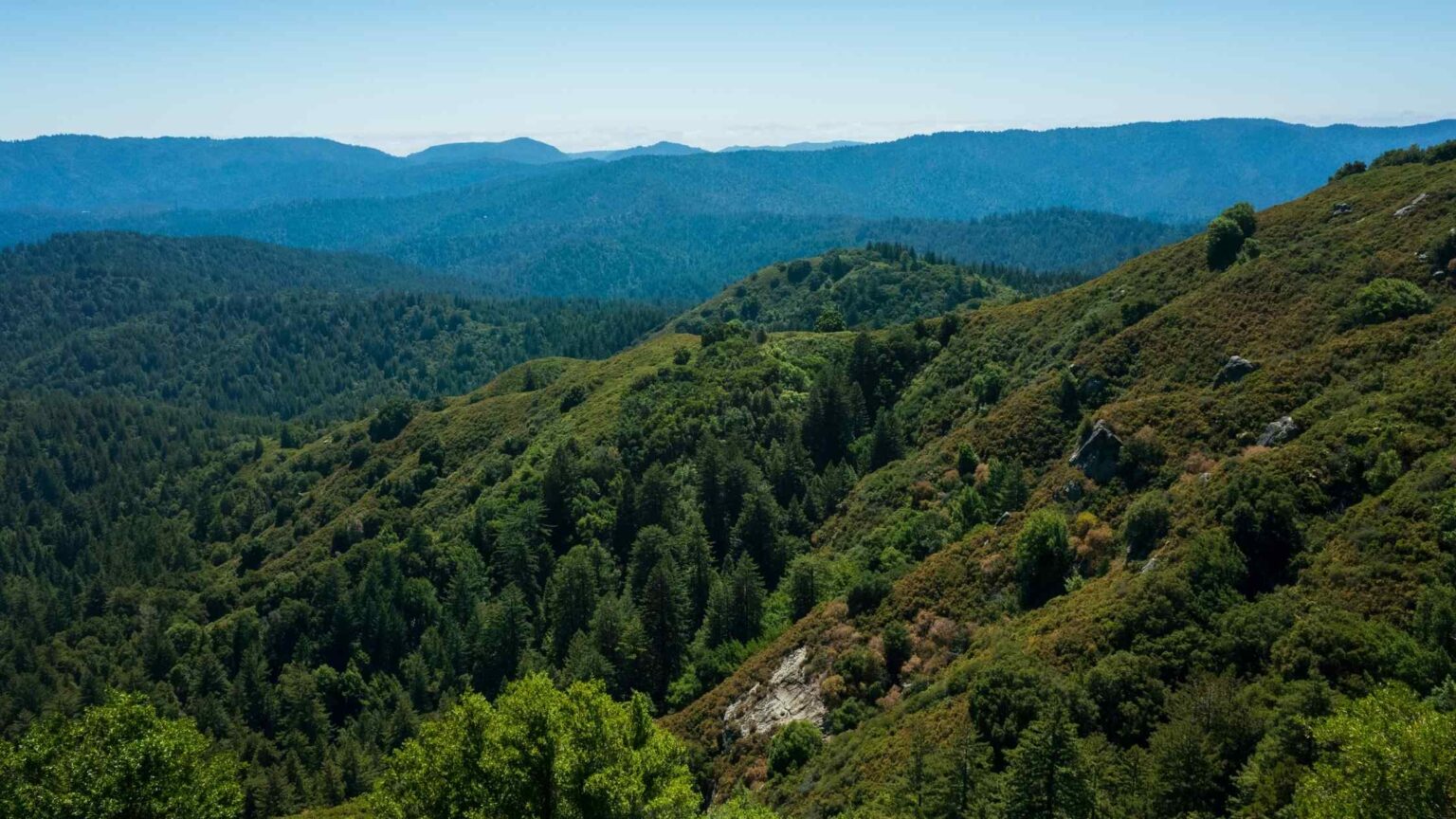 25 Best Hikes In Santa Cruz For Nature Lovers And Hikers
