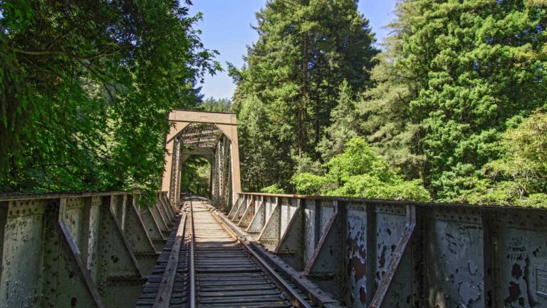 25 Best Hikes In Santa Cruz For Nature Lovers And Hikers