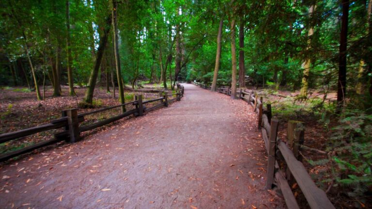 25 Best Hikes In Santa Cruz For Nature Lovers And Hikers