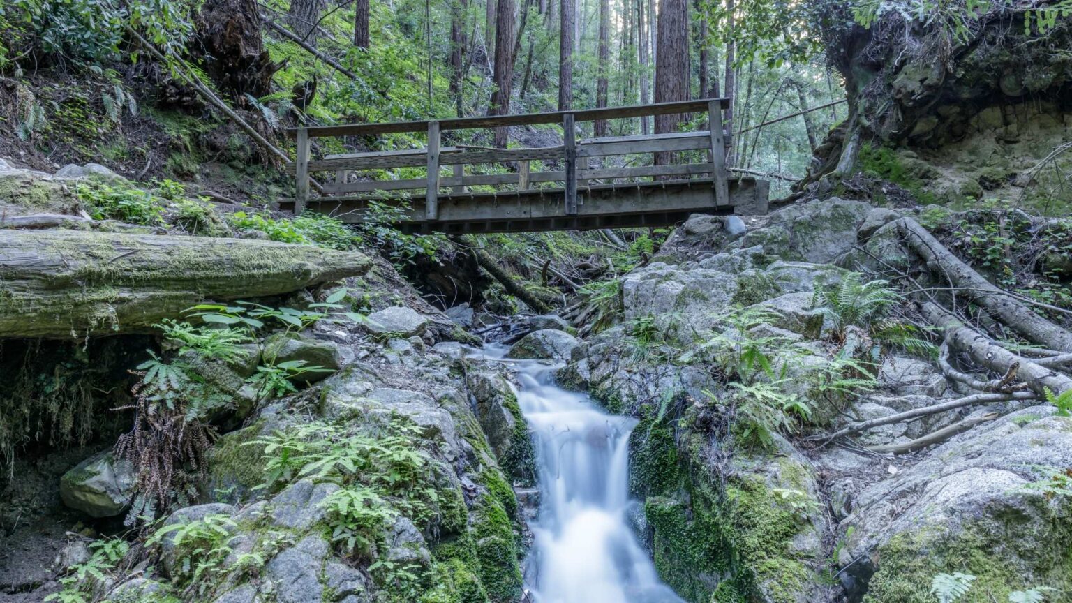 25 Best Hikes In Santa Cruz For Nature Lovers And Hikers