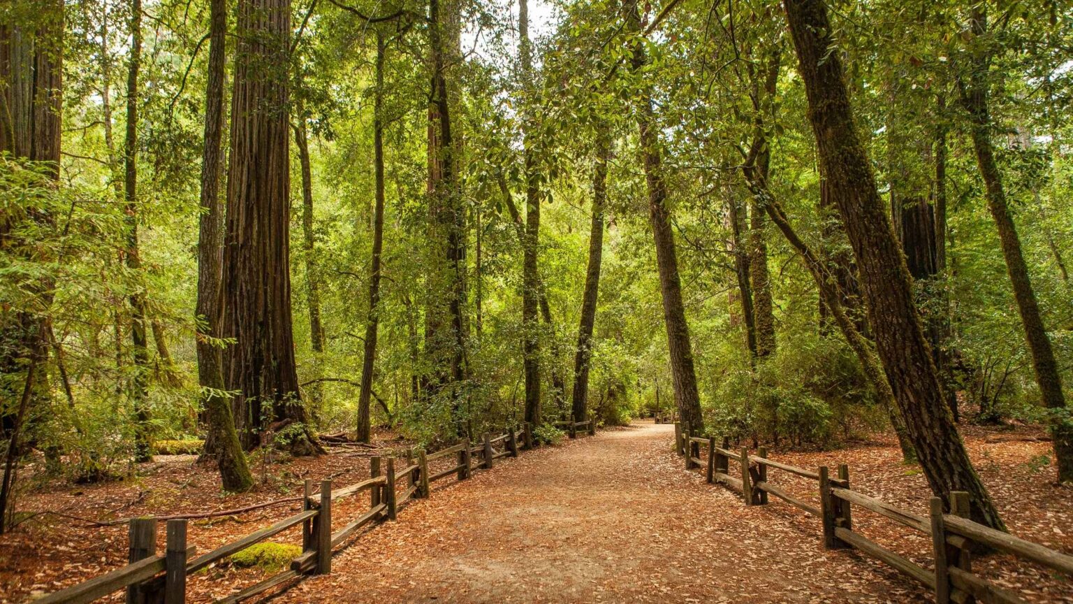 25 Best Hikes In Santa Cruz For Nature Lovers And Hikers