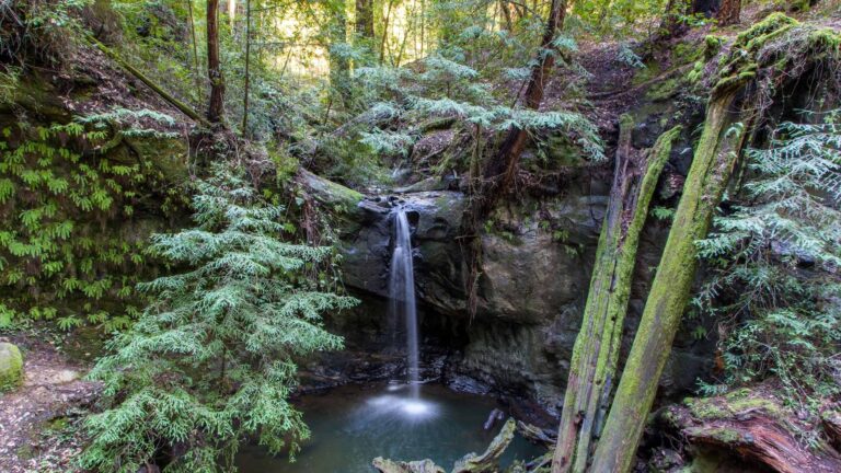 25 Best Hikes In Santa Cruz For Nature Lovers And Hikers