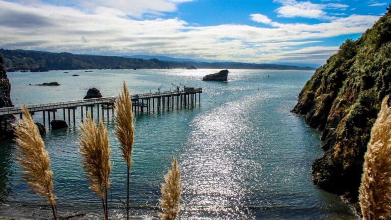 31 Best Northern California Beach Towns For Your Bucket List