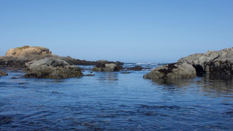 31 Best Northern California Beach Towns For Your Bucket List