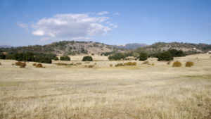 23 Best Things To Do In Julian, California