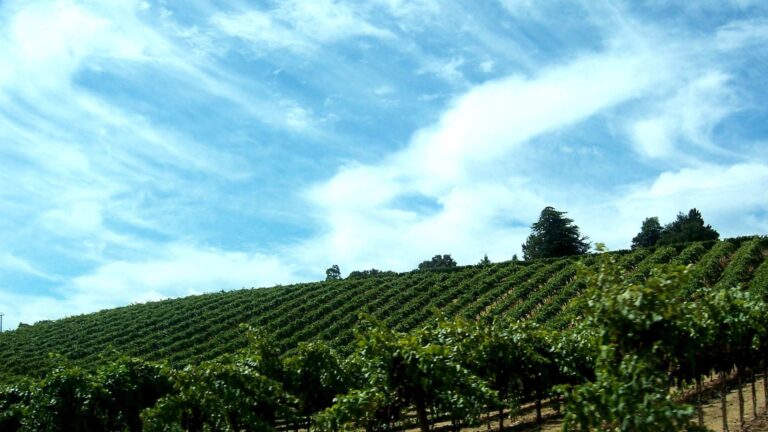 23 Best Things To Do In Julian, California