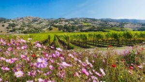 25 Best Places To Visit In California In December For a Getaway