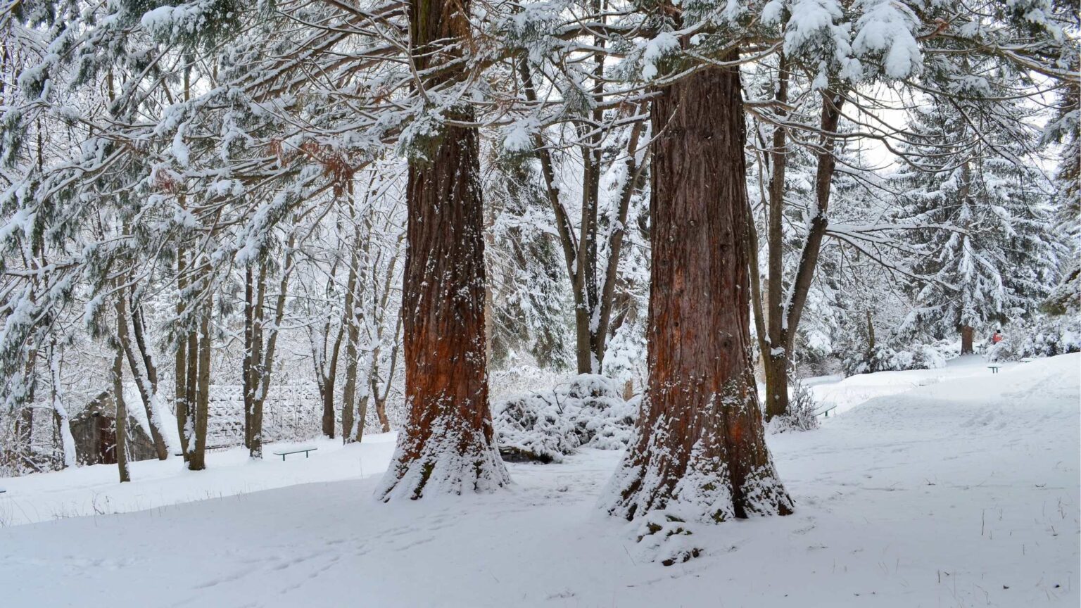25 Best Places To Visit In California In December For a Getaway