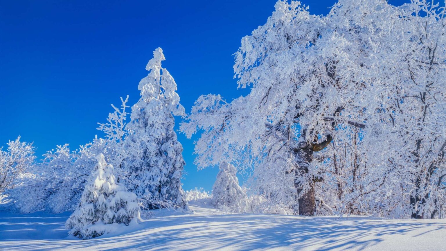 Snow In California - 28 Prettiest Places For a White Winter Trip
