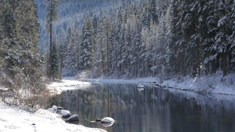 Snow In California - 28 Prettiest Places For a White Winter Trip