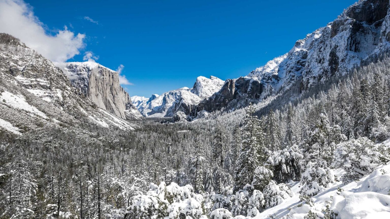 Snow In California - 28 Prettiest Places For a White Winter Trip