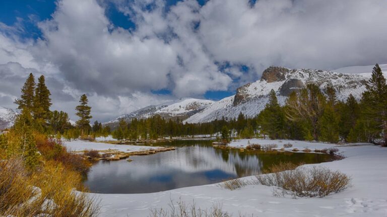 Snow In California - 28 Prettiest Places For a White Winter Trip