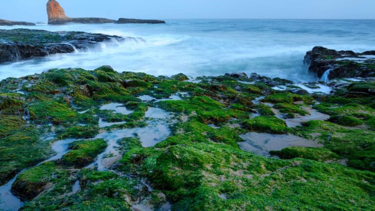 21 Best Nude Beaches In California To Be Free And Fun