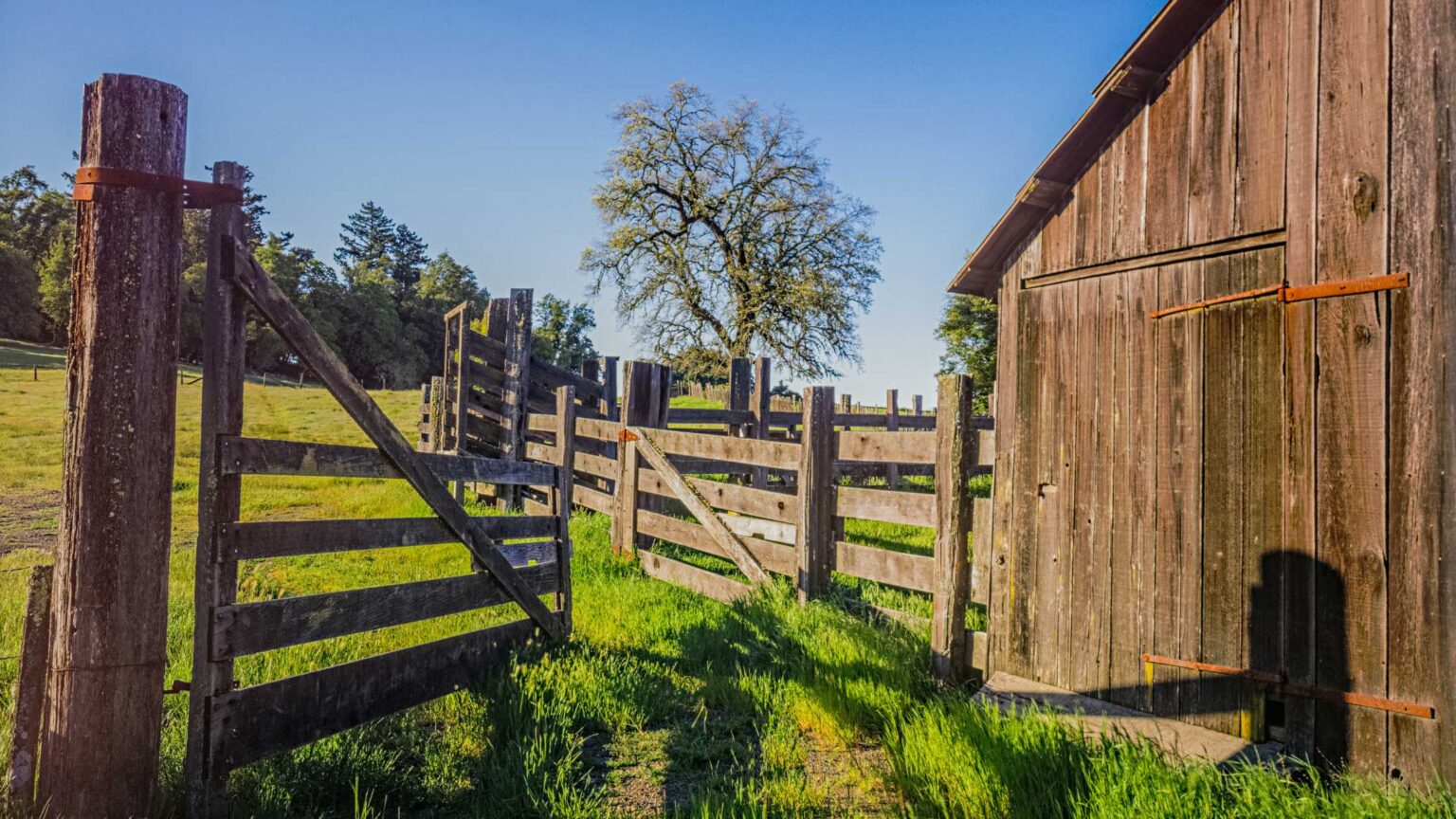 25 Best Things To Do In Bodega Bay In California