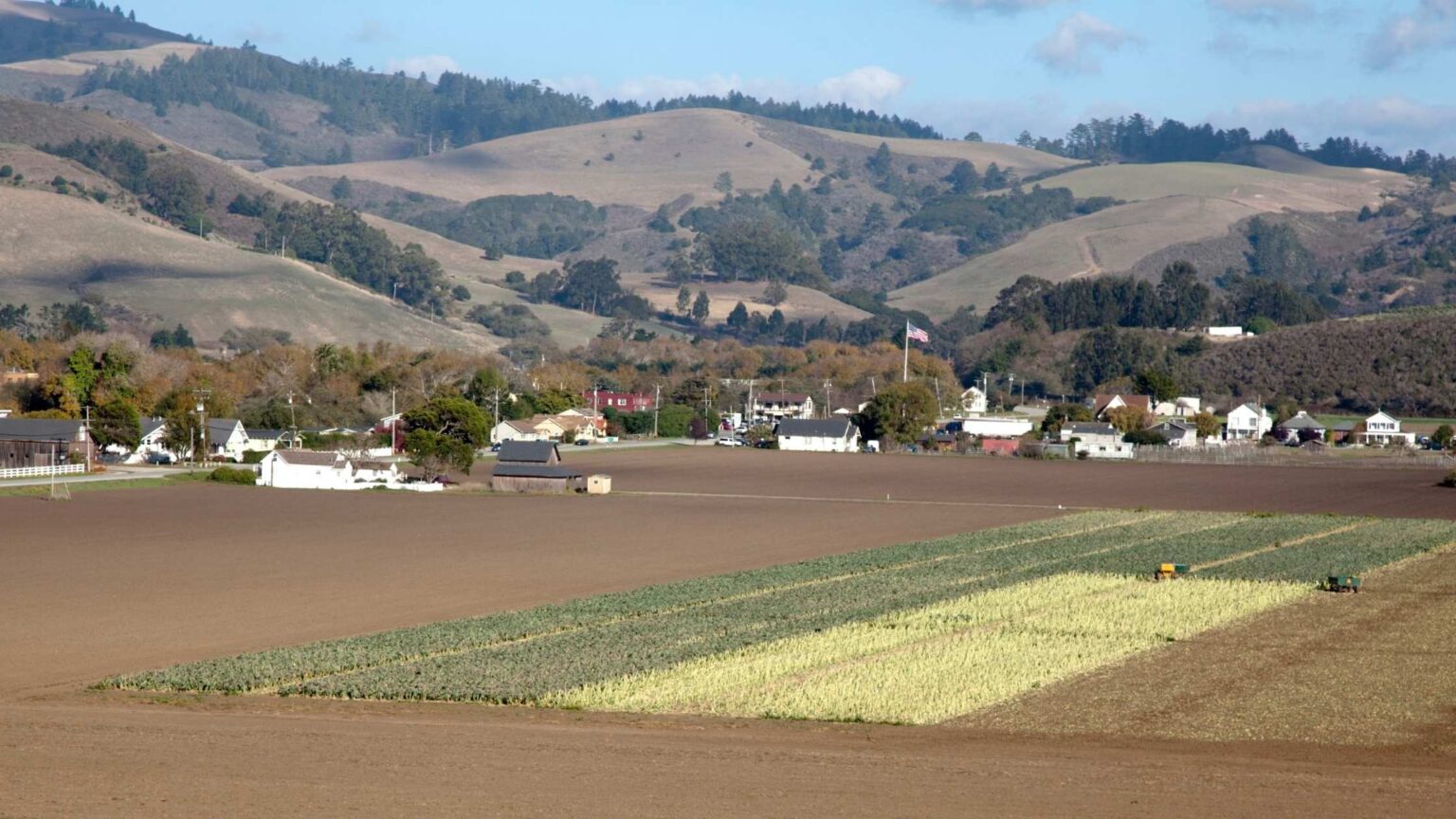 19 Things To Do in Pescadero For a Perfect California Getaway