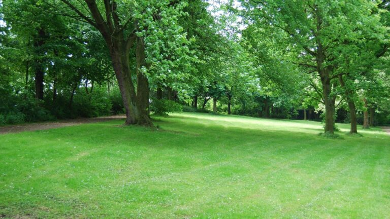 40 Best Things To Do In Tyler Texas For a Fun Trip