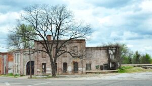 40 Best Things To Do In Tyler Texas For a Fun Trip