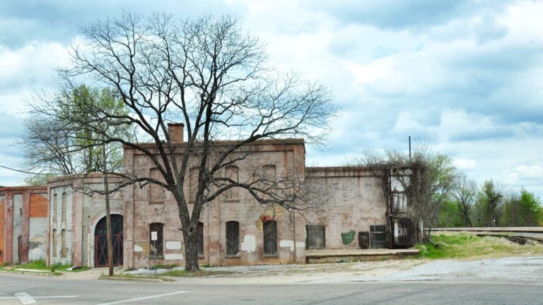 40 Best Things To Do In Tyler Texas For a Fun Trip