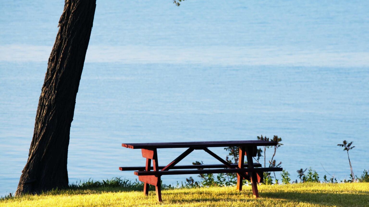 40 Best Things To Do In Tyler Texas For a Fun Trip