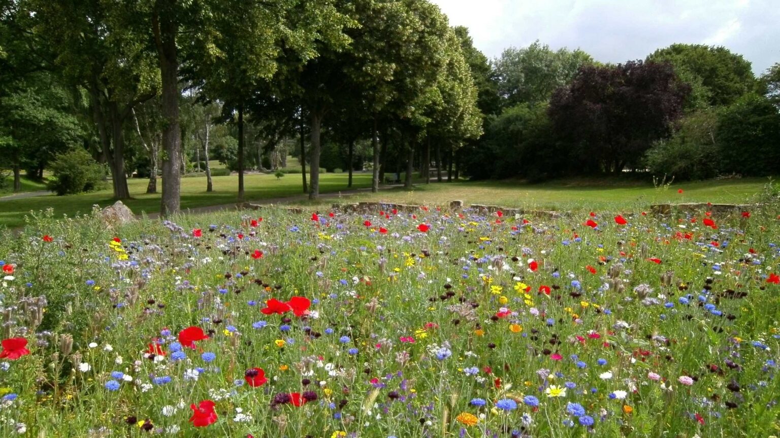 40 Best Things To Do In Tyler Texas For a Fun Trip