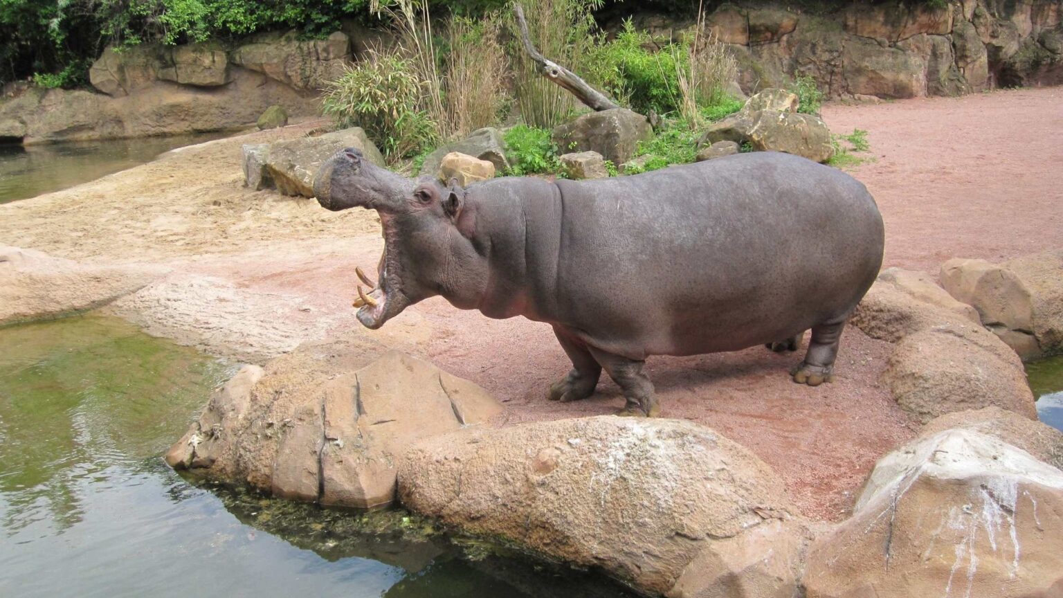 40 Best Things To Do In Tyler Texas For a Fun Trip