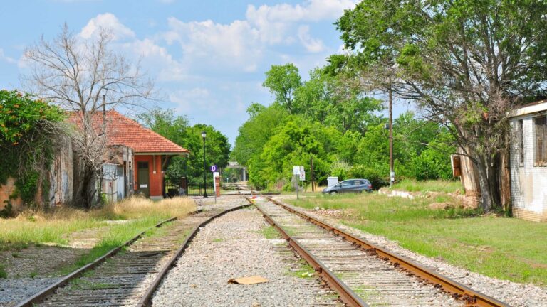 40 Best Things To Do In Tyler Texas For a Fun Trip