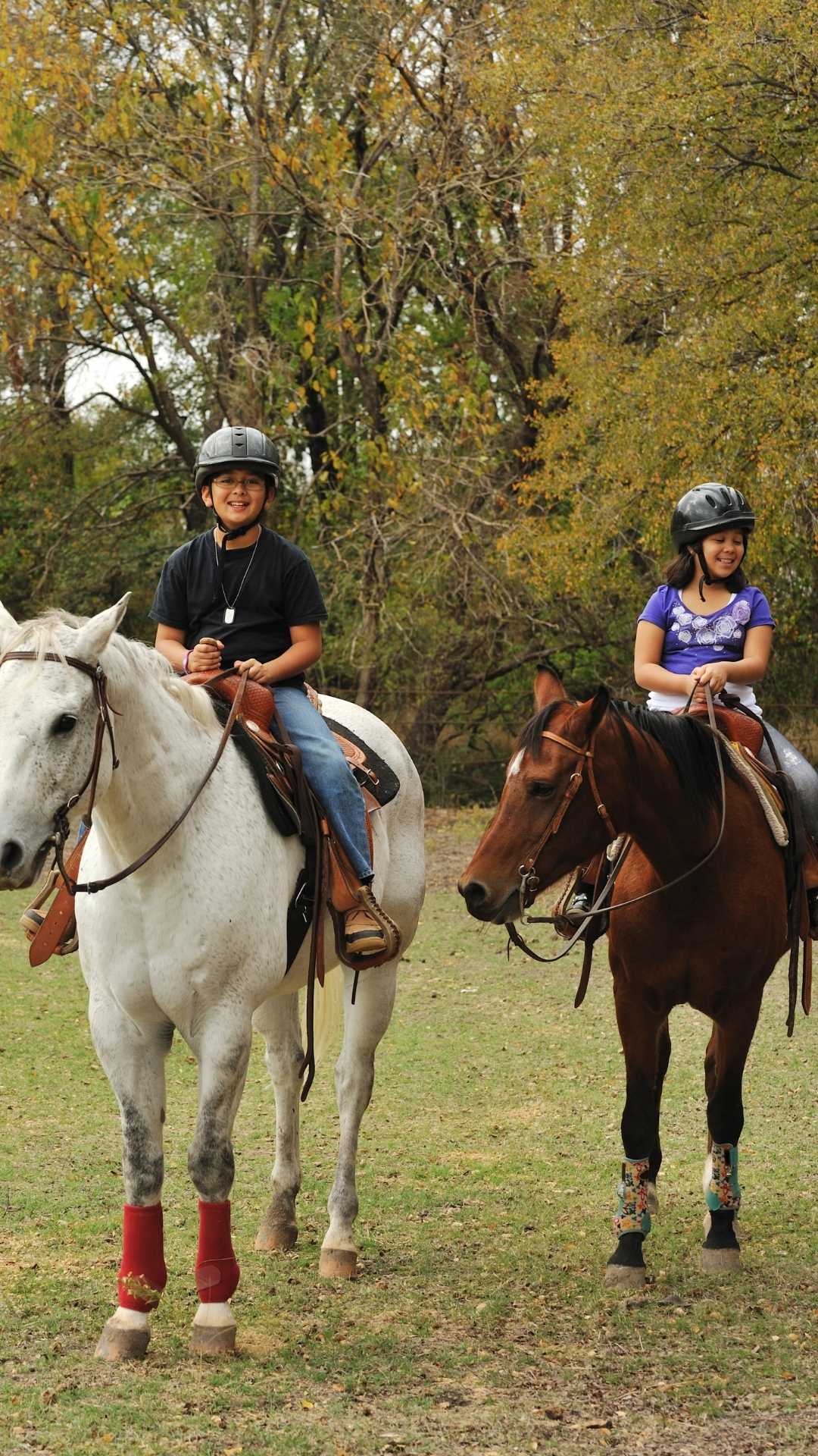 40 Best Things To Do In Tyler Texas For a Fun Trip