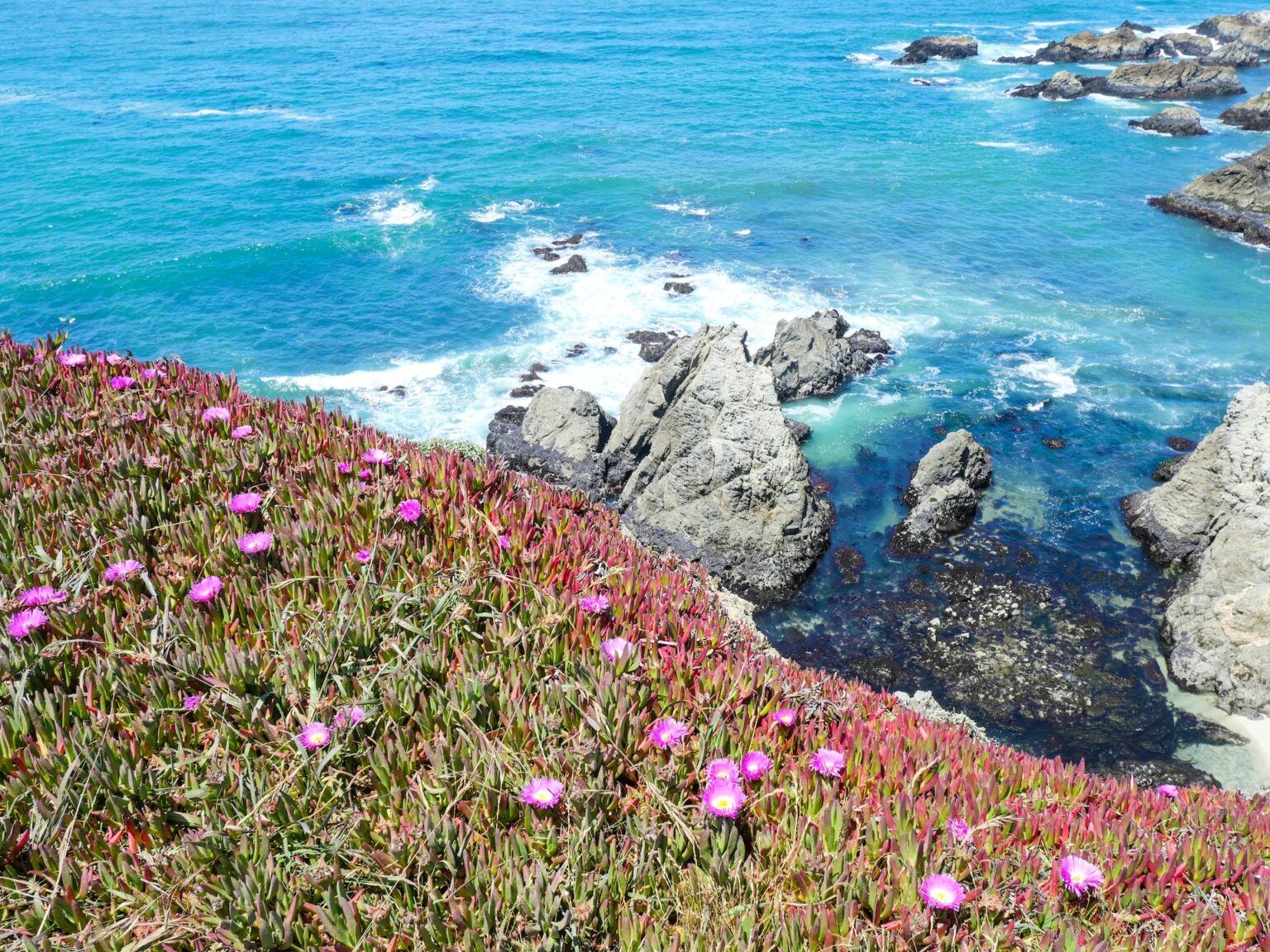 25 Best Things To Do In Bodega Bay In California