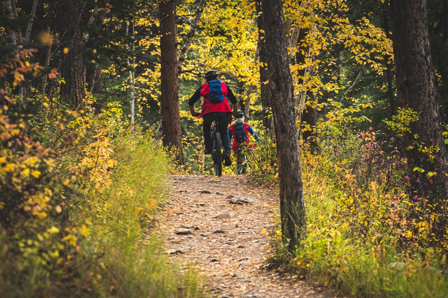 40 Best Things To Do In Tyler Texas For a Fun Trip