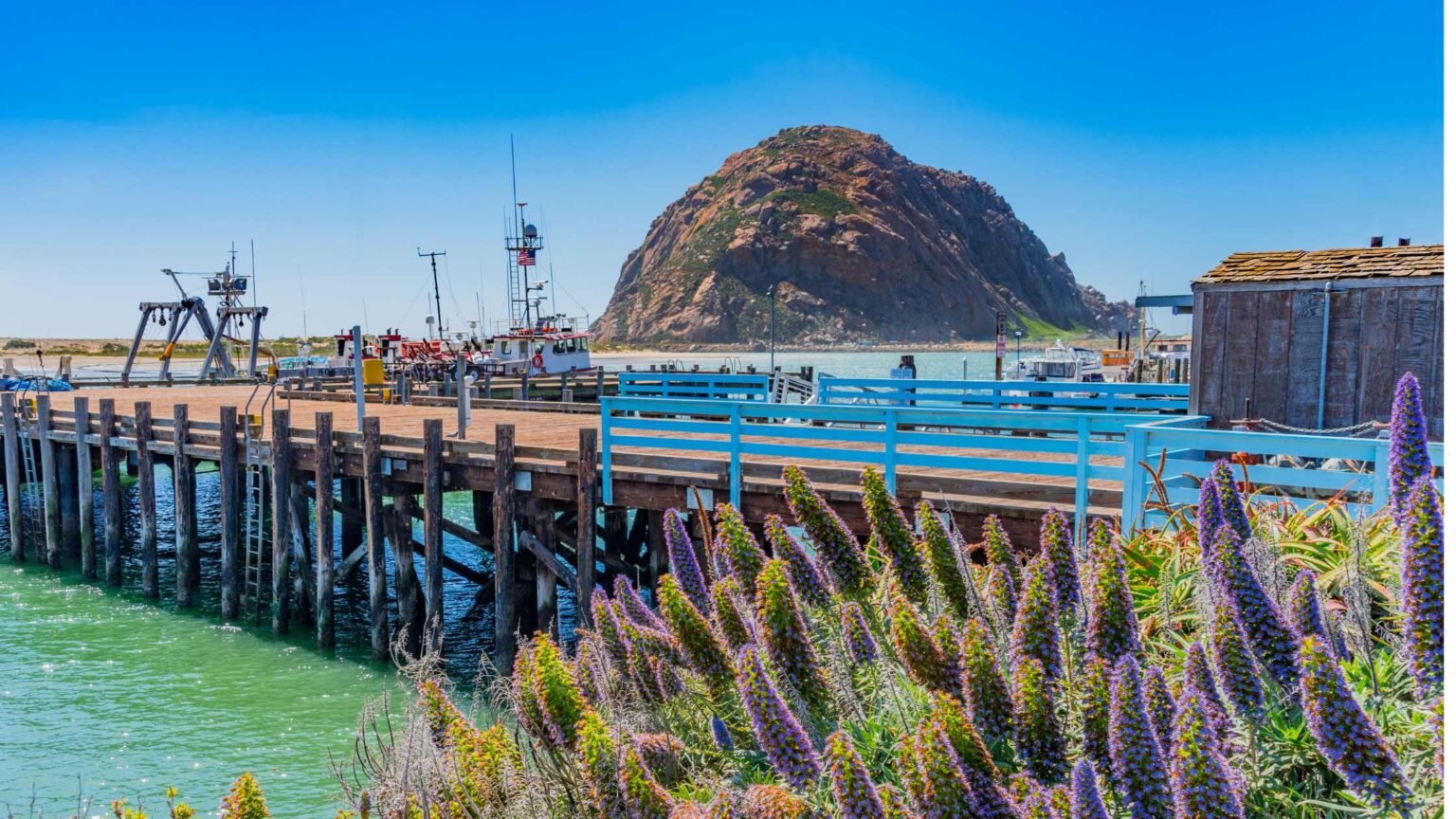 34 Best Things To Do In Morro Bay In California